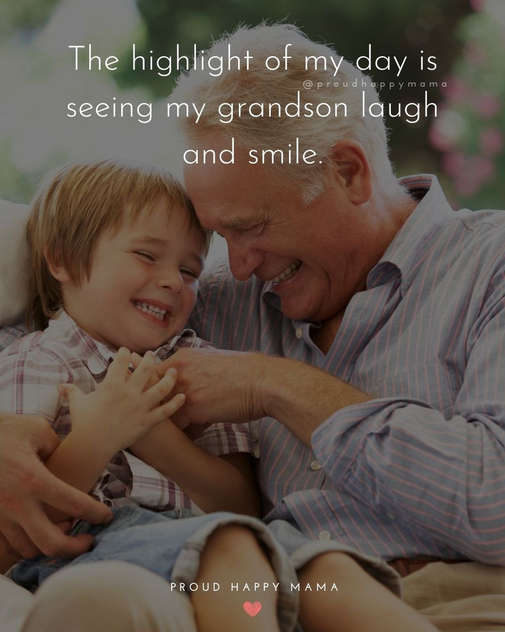 35 Grandson Quotes (With Images)